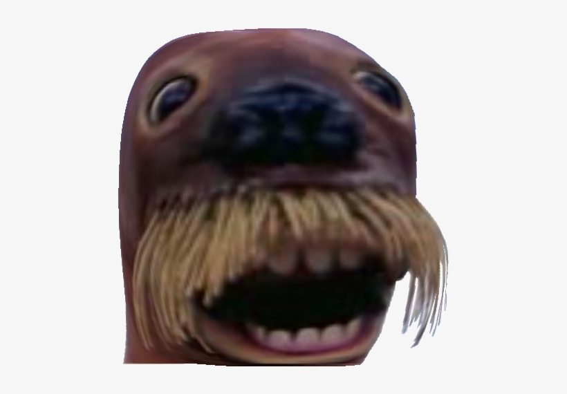 Https - //image - Noelshack - Com/minis/2017/08/ - Pingu Walrus - Free ...