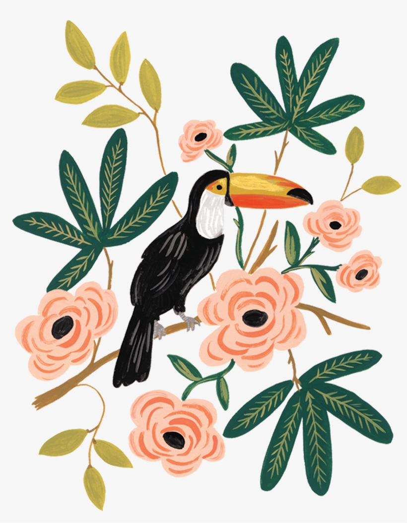 Toucan - Rifle Paper Co Wall Calendars 2017 - Free Transparent PNG ...