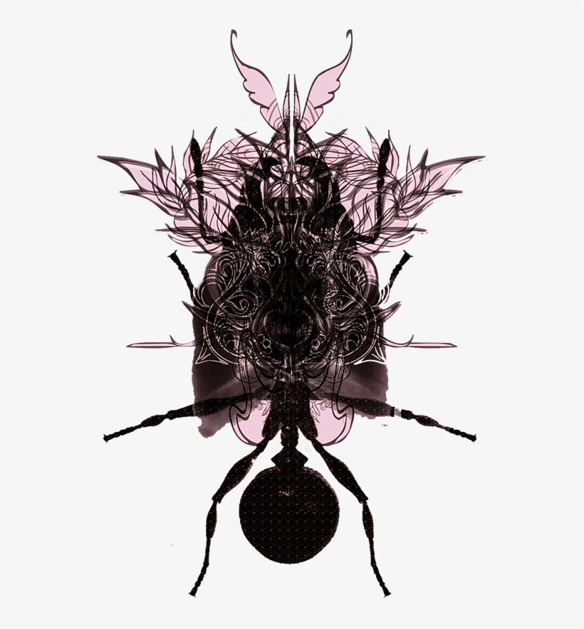 Ali Masoudi Text - Illustration - Free Transparent PNG Download - PNGkey