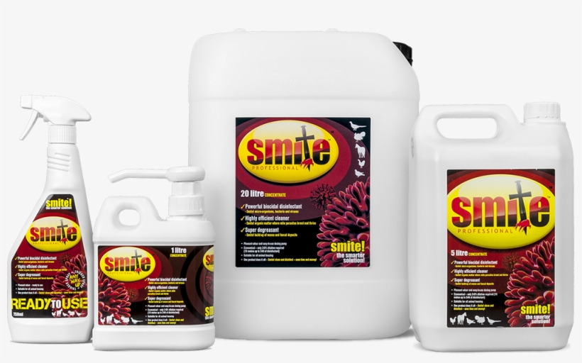 Smite Professional - Bottle - Free Transparent PNG Download - PNGkey