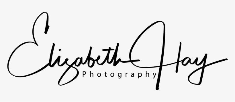 Elizabeth Hay Black Hires - Calligraphy - Free Transparent PNG Download ...