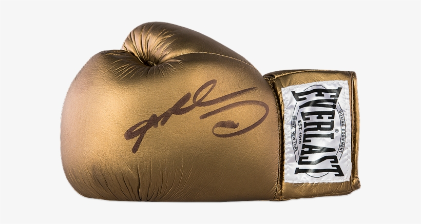 Zoom - Everlast - Free Transparent PNG Download - PNGkey