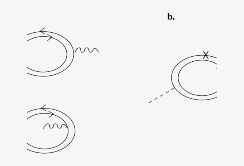 Drawn Circle Double - Circle - Free Transparent PNG Download - PNGkey