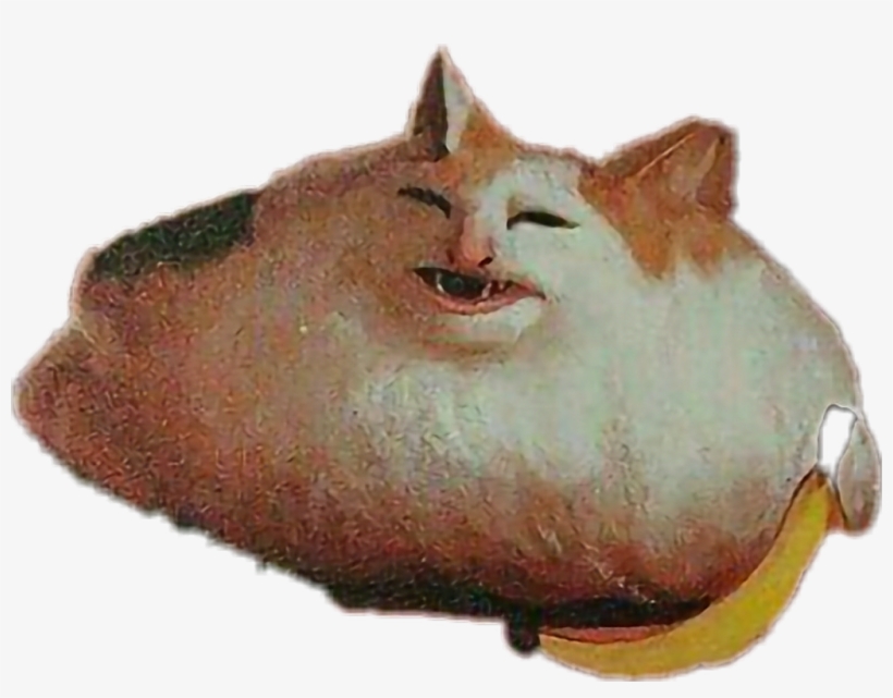 Dank Sticker - Cat Yawns - Free Transparent PNG Download - PNGkey