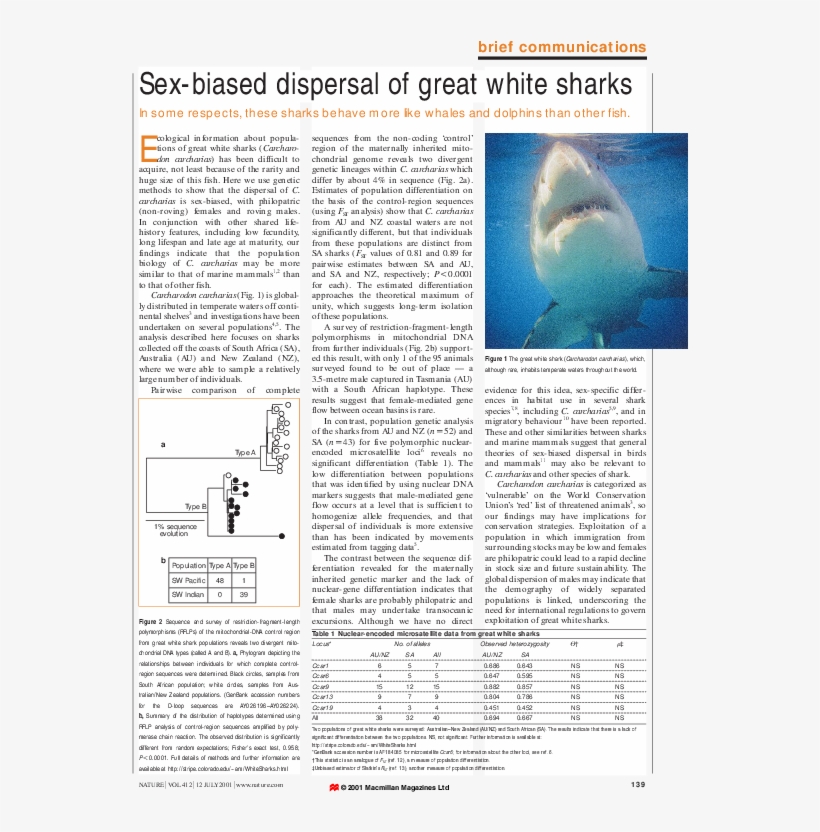 Pdf - Tiger Shark - Free Transparent PNG Download - PNGkey