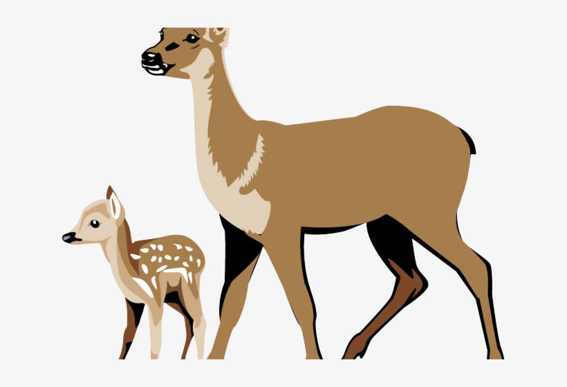 Hunting Clipart 8 Point Buck - White Tailed Deer Clipart - Free ...