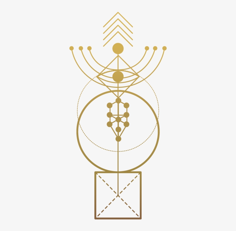 6 2 Gold - Emblem - Free Transparent PNG Download - PNGkey