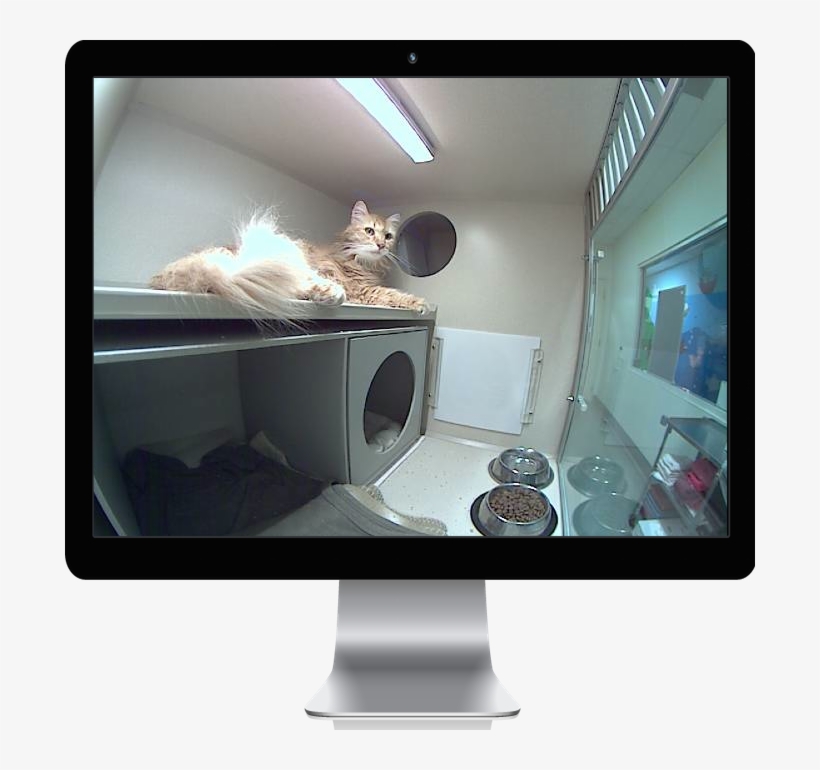 Mac Display Overlay Icats - Computer Monitor - Free Transparent PNG ...