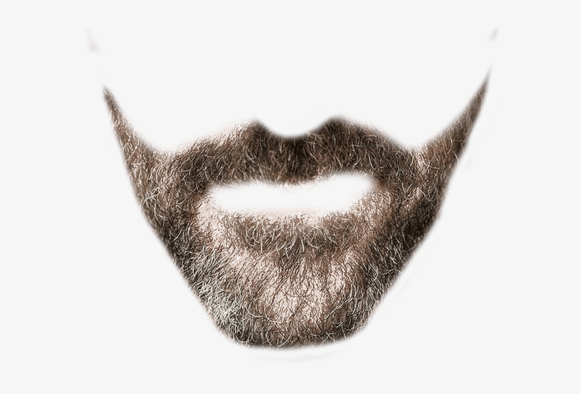 Designer Transparent Background - Beard Transparent Background - Free ...
