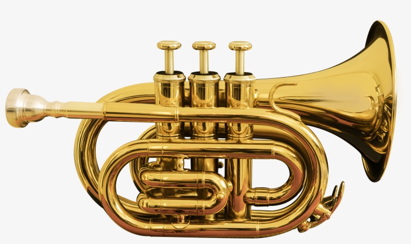 Trumpet Png - Free Transparent PNG Download - PNGkey