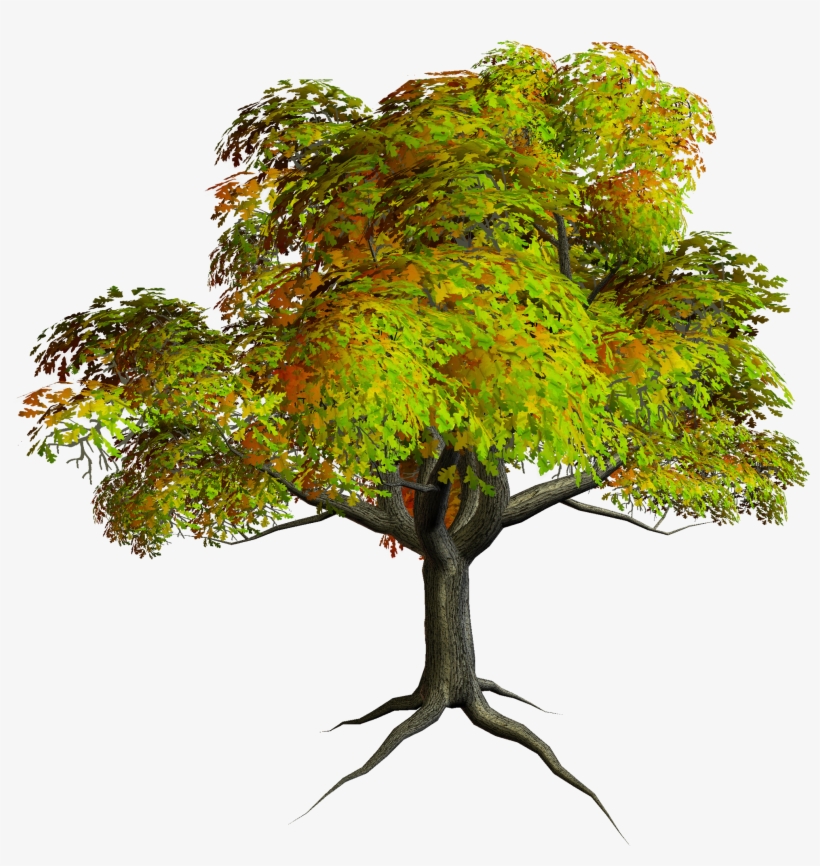 Tree Png For Editing - Free Transparent PNG Download - PNGkey