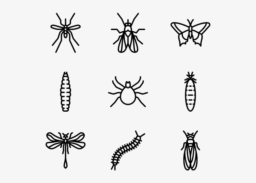 Insects - Insect Icon - Free Transparent PNG Download - PNGkey