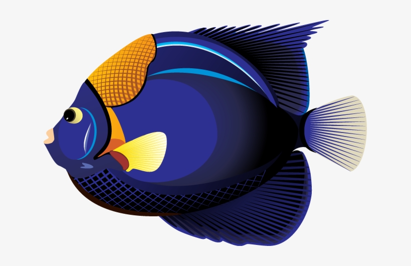 Tropical Cliparts - Tropical Fish Clip Art - Free Transparent PNG ...