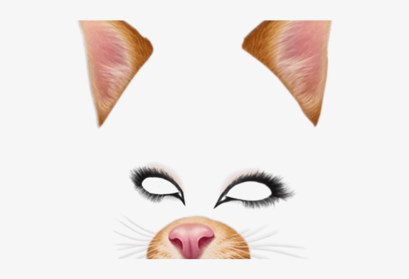 Snapchat Filters Png Transparent Images - Png Snapchat Filters - Free ...