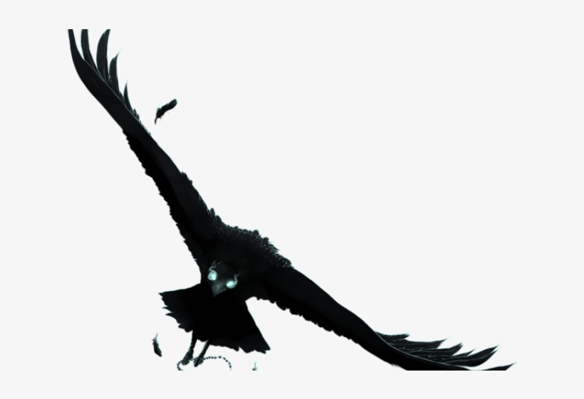 Drawn Raven Mid Flight - Anime Raven Png - Free Transparent PNG ...