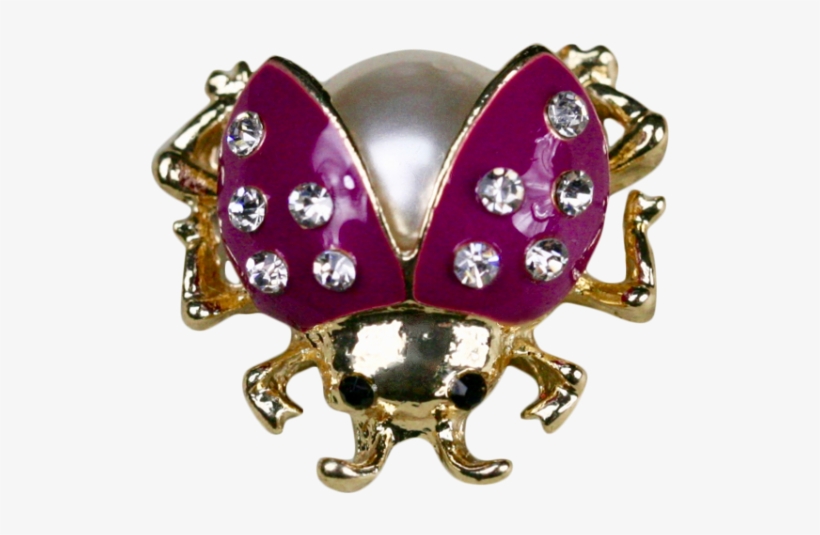 Cute Ladybug - Brooch - Free Transparent PNG Download - PNGkey