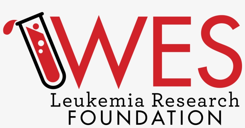 Wes Foundation Logo - Free Transparent PNG Download - PNGkey