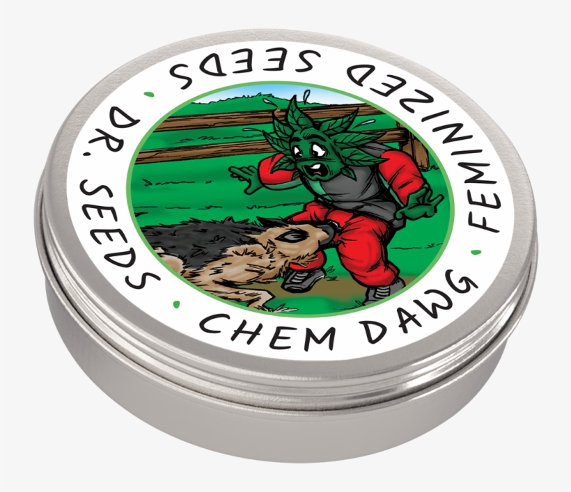 Bruce Banner - Zombie - Free Transparent PNG Download - PNGkey