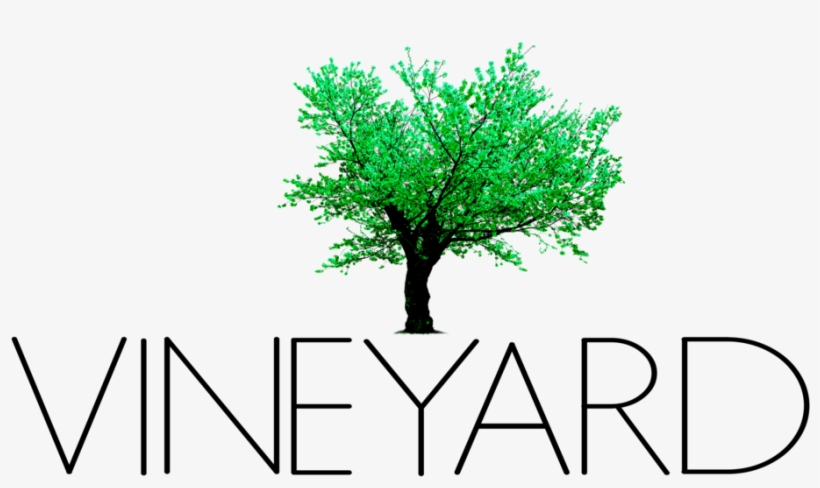 Vineyard Logo - Free Transparent PNG Download - PNGkey