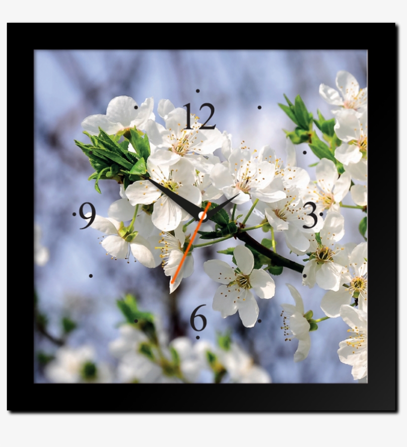 Ochna Integerrima - Free Transparent PNG Download - PNGkey