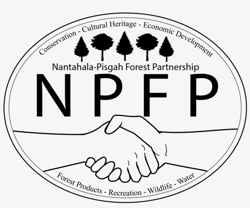 Representing A Variety Of Key Stakeholder Interests - Circle - Free ...