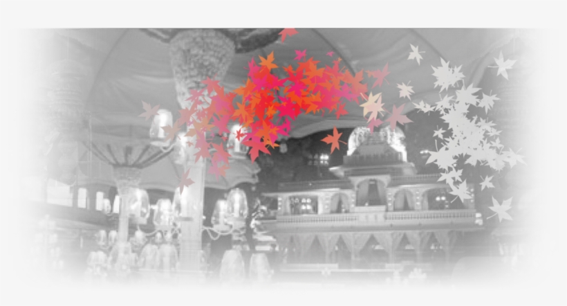 Destinations In India Bg - Datura - Free Transparent PNG Download - PNGkey