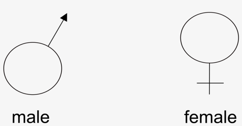 File - Gender Symbols - Svg - Circle - Free Transparent PNG Download ...