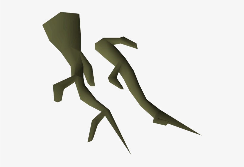 Magic Roots Detail - Root - Free Transparent PNG Download - PNGkey