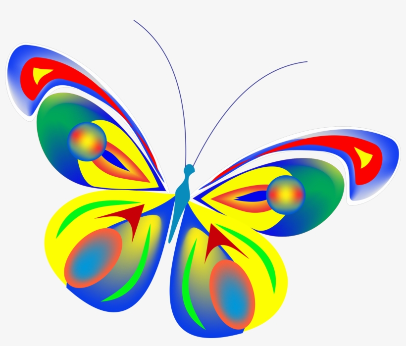 Mariposas - Free Transparent PNG Download - PNGkey