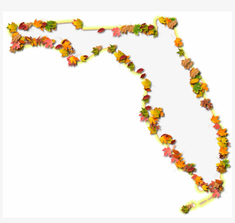 Florida "fancy Frame" Style - Florida - Free Transparent PNG Download ...