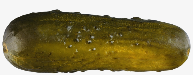 Pickle - Free Transparent PNG Download - PNGkey
