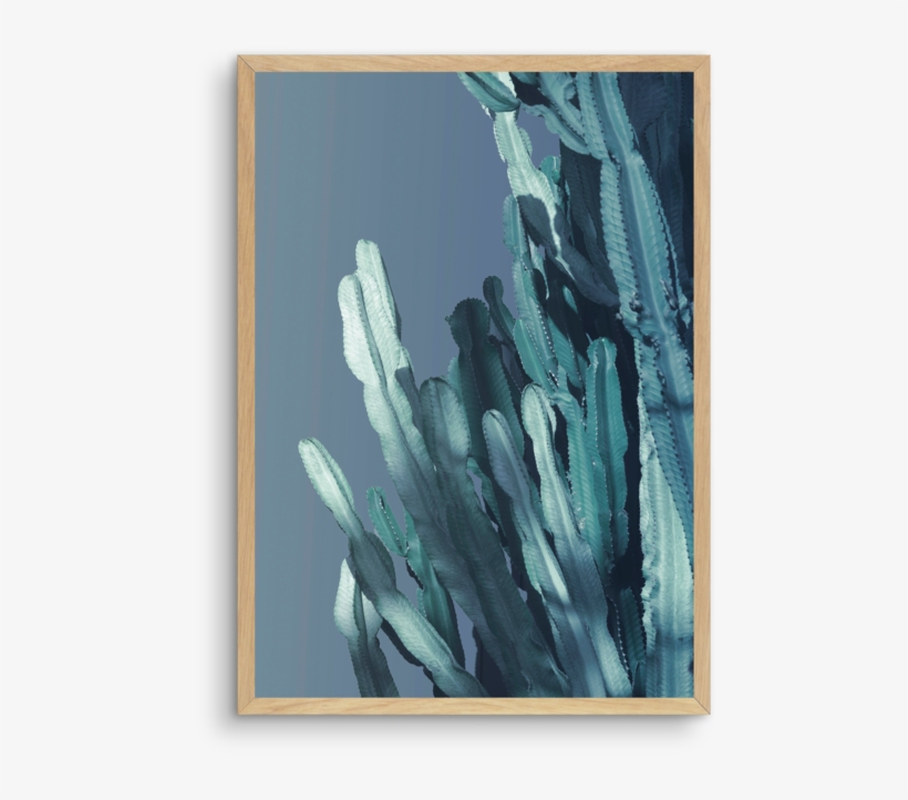 Cactus In Blue No 1 - Picture Frame - Free Transparent PNG Download ...