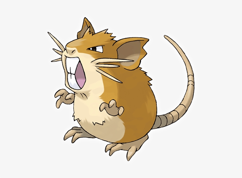 Rattata Pokemon - Free Transparent PNG Download - PNGkey