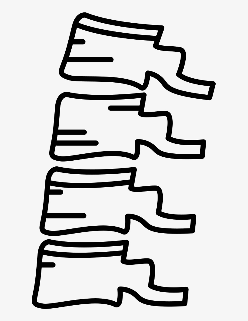 Png File - Vertebral Column - Free Transparent PNG Download - PNGkey