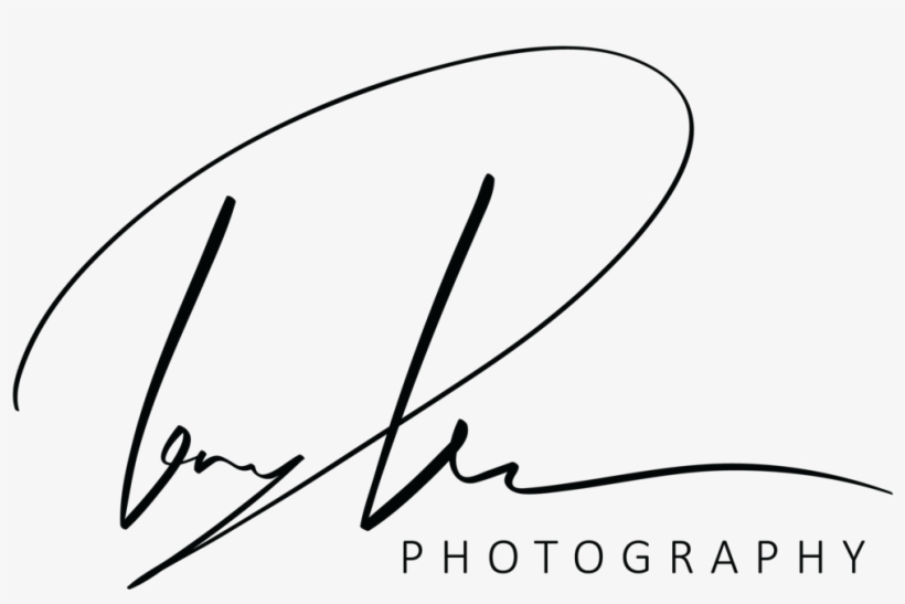 Prince Logo Png - Free Transparent PNG Download - PNGkey