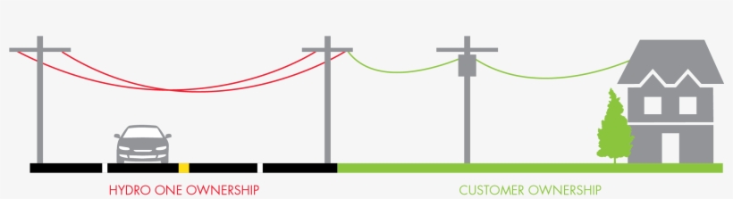 Infographic Depicting The Boundary Between A Hydro - Tree - Free ...