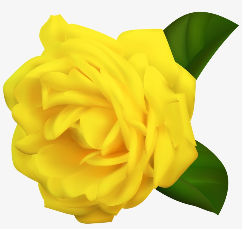 Yellow Rose Flower Png Download - Clip Art - Free Transparent PNG ...
