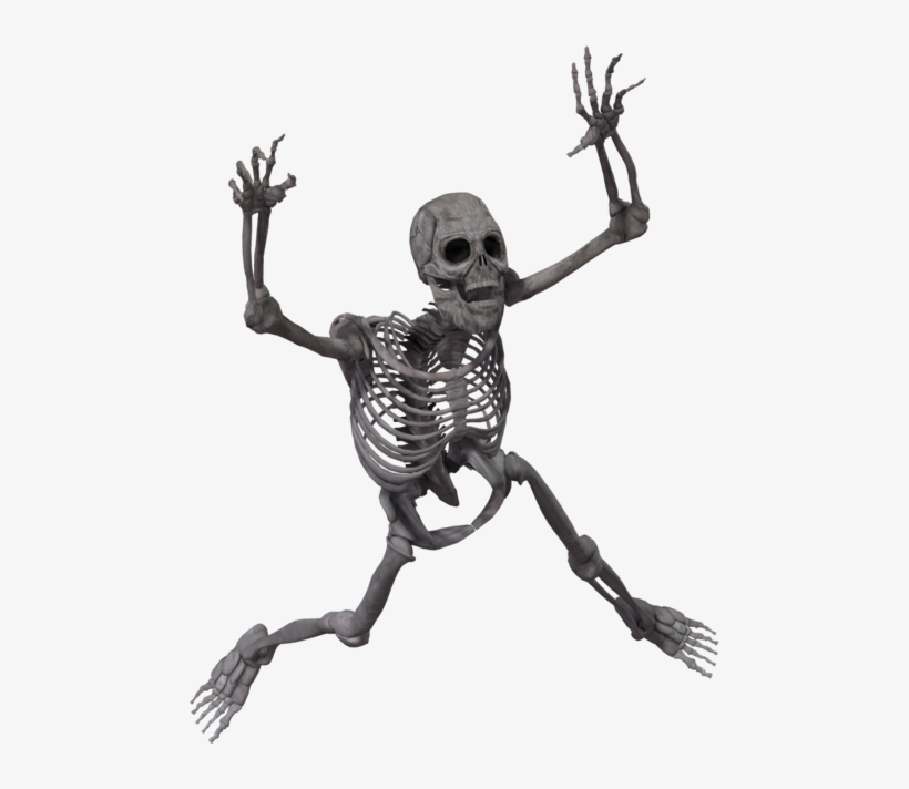 Skeleton Transparent - Free Transparent PNG Download - PNGkey