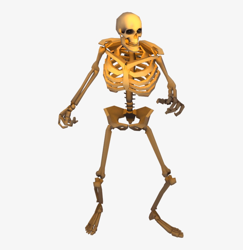 Skeleton Orange - Illustration - Free Transparent PNG Download - PNGkey