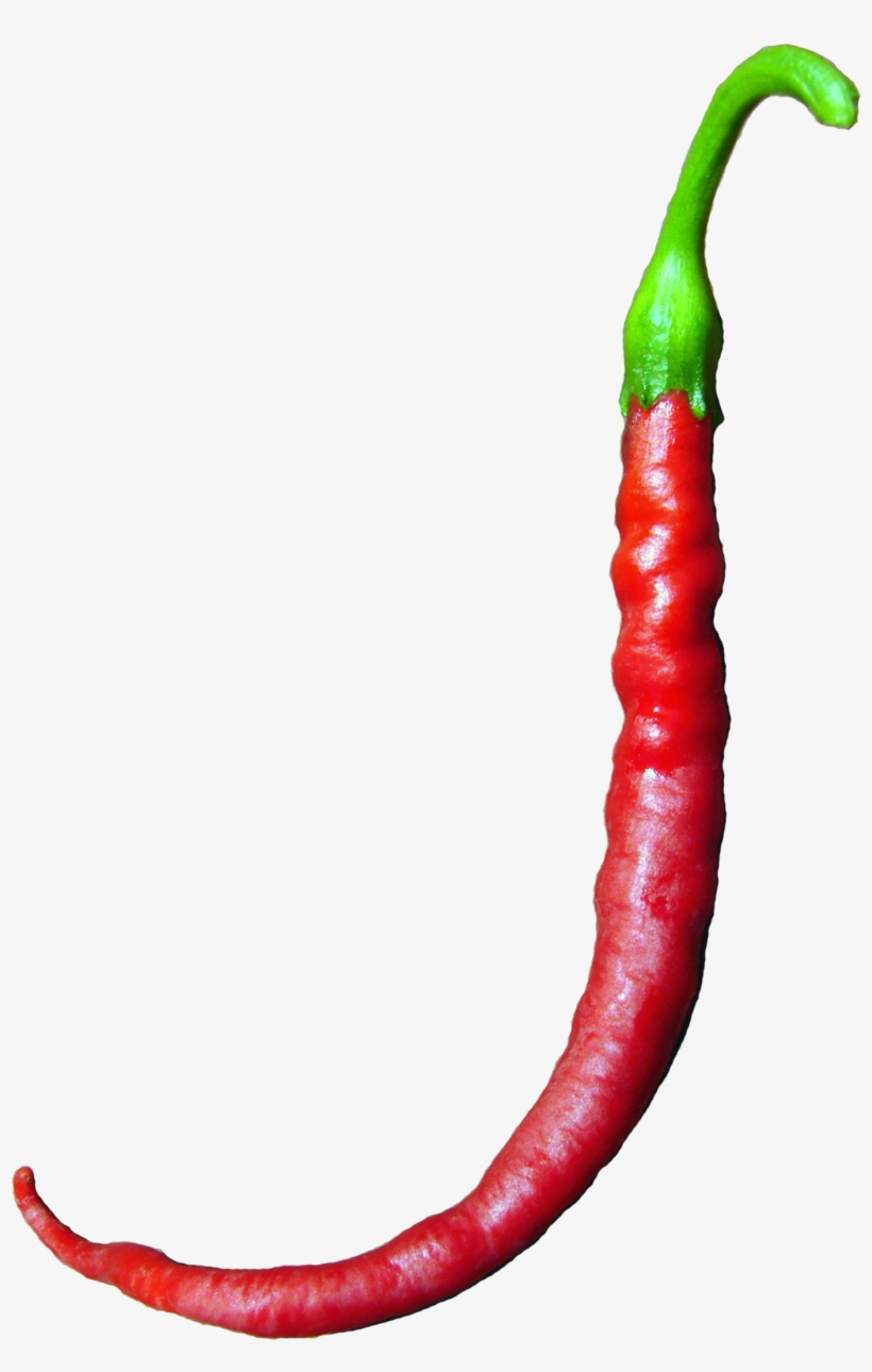 J Pepper Image - Stock.xchng - Free Transparent PNG Download - PNGkey
