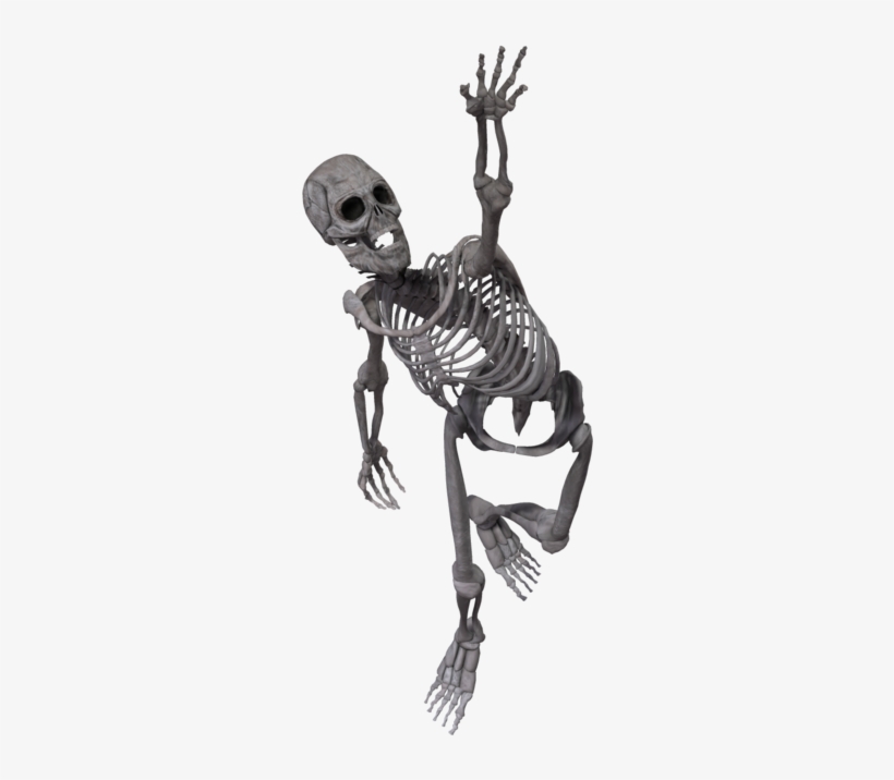 Skeleton Png - Skeleton Running Transparent Background - Free ...