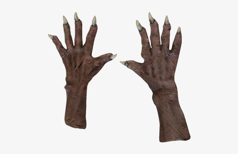 Ghoul Zombie Hands Gloves- Deluxe - Ghoul Gloves - Free Transparent PNG ...