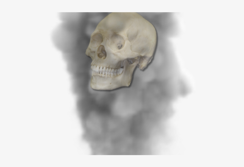 Drawn Smoking Smoke Puff - Skull - Free Transparent PNG Download - PNGkey