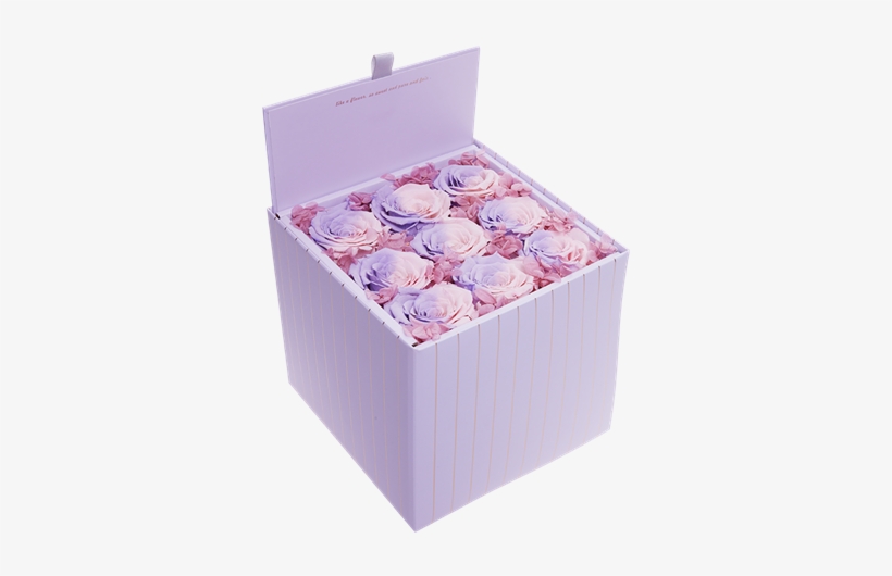 Picture Of Baby Doll - Box - Free Transparent PNG Download - PNGkey