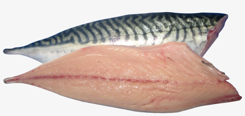 Atlantic Mackerel Fillet - Free Transparent PNG Download - PNGkey