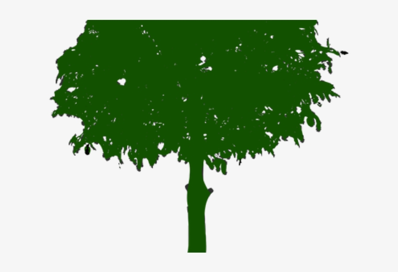 Branch Clipart Tree Limb - Clip Art - Free Transparent PNG Download ...