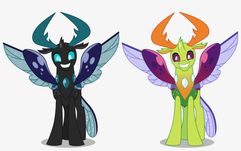 1280 X 743 1 - Mlp Thorax And Pharynx - Free Transparent PNG Download ...