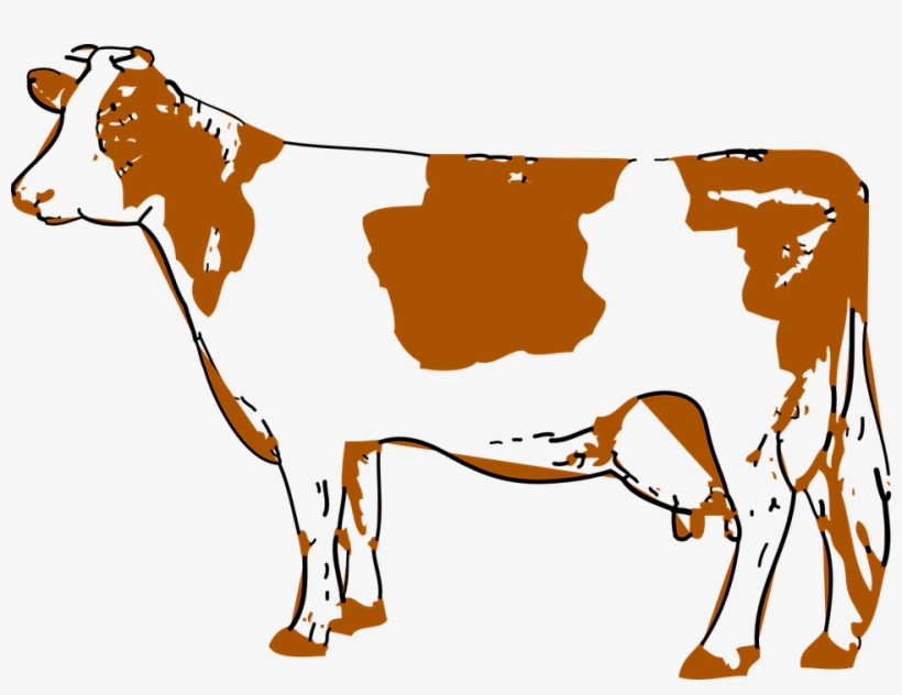 Cow Udder Company Milkers - Cartoon Png Cows Udder - Free Transparent ...