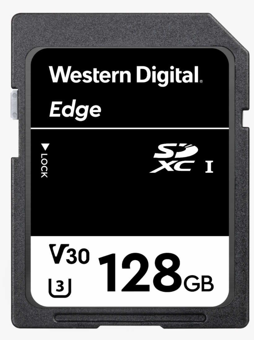 Image - Sd Card - Free Transparent PNG Download - PNGkey