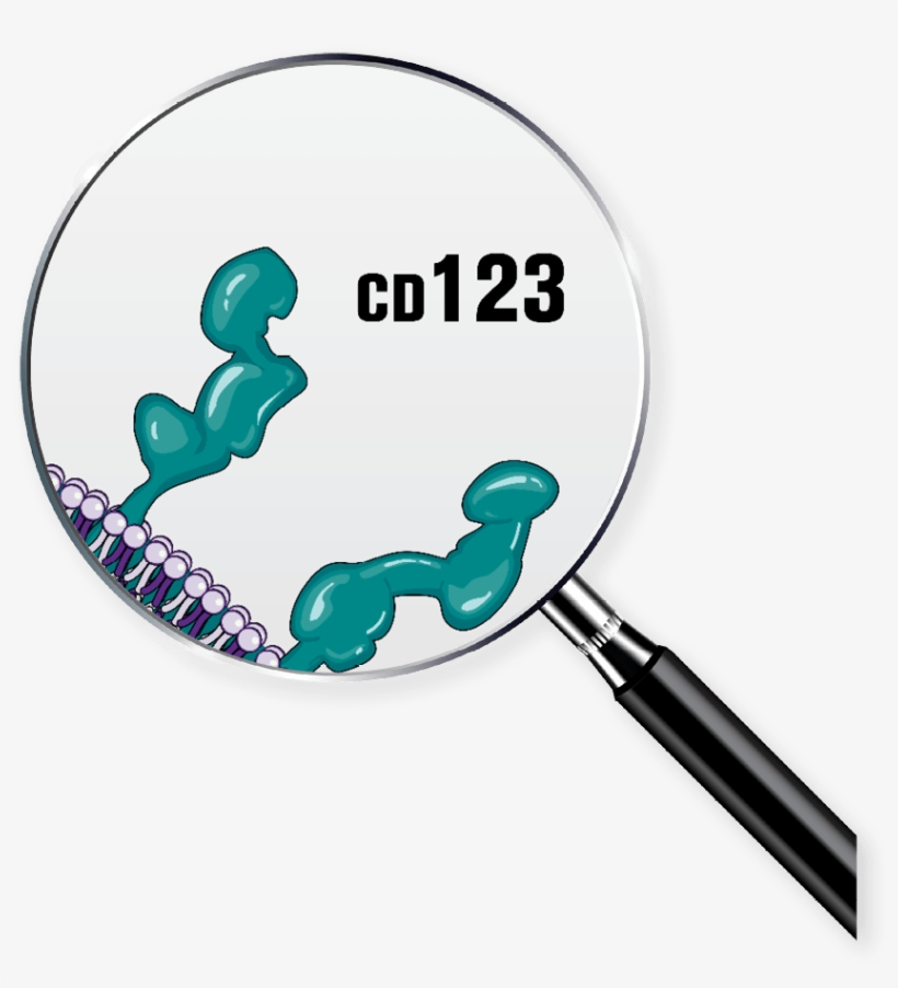 Healthcasts Member - Free Transparent PNG Download - PNGkey